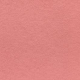 Fieltro Fieltro Liso Rosa Medio | La Parisina