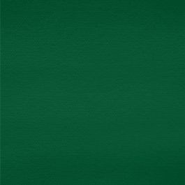 Tergal Liso Verde Bandera | Parisina