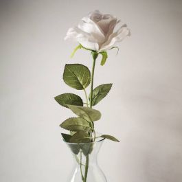 Rosa Abierta Blanco | Mercería Parisina